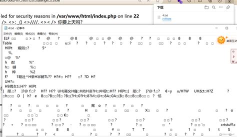 ctfshow web入门 命令执行（web75 web77） ctfshow web75 csdn博客