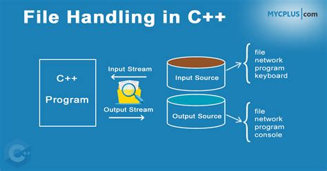 Check The Programmer Usually Enters Source Code Into A Computer Using