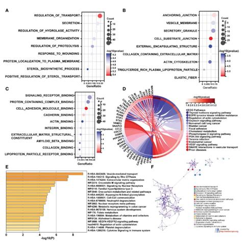 Go And Kegg Pathway Enrichment Analyses Of Differentially Expressed Download Scientific Diagram