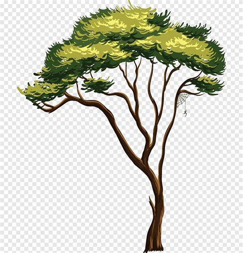 Graphy Branch Plant Stem Png PNGEgg