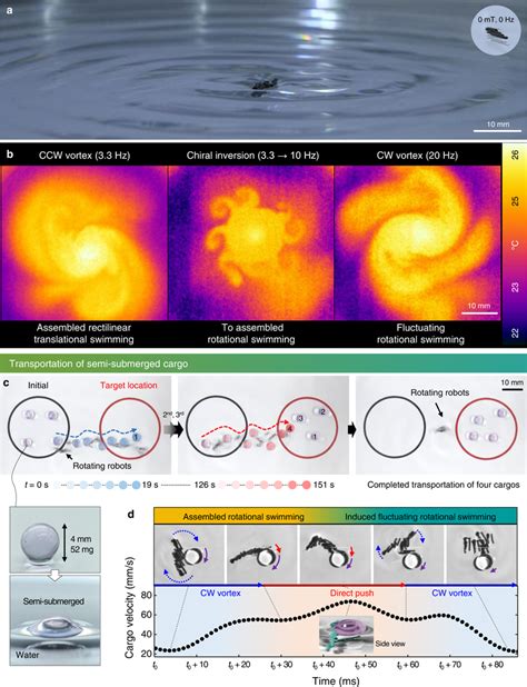 Intensified Vortices Generated By Swimming 30 Vol Cnty Robots A