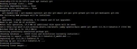 how to install git on ubuntu 22 04 step by step cherry servers