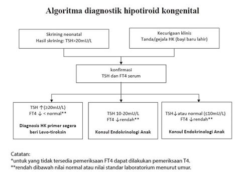 Skrining Hipotiroid Kongenital Alomedika