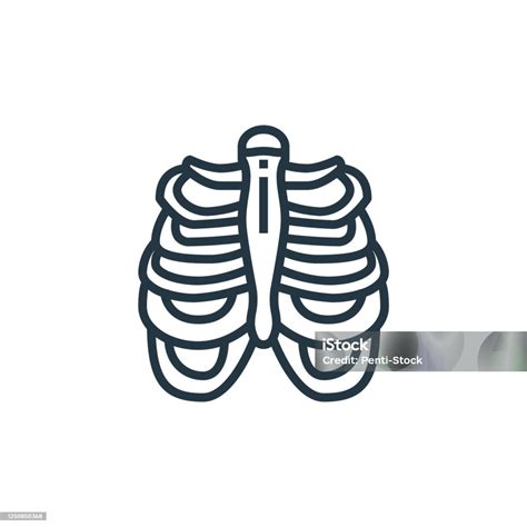 리브 벡터 아이콘입니다 갈비뼈 편집 가능한 스트로크 웹 및 모바일 앱 로고 인쇄 매체에 사용할 수 있는 선형 기호입니다 얇은 선