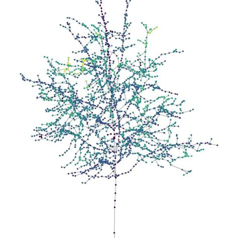 A Graph Structure Model Of The Same Tree In Figure 6 Where Each Node Download Scientific
