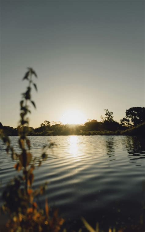 100 개의 최고의 강물 사진 · 100 무료 다운로드 · Pexels 스톡 사진