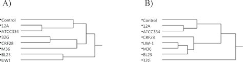 Hierarchical Clustering Of Seven Lactobacillus Casei Strains And The