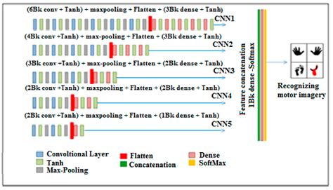 A Synergy Of Convolutional Neural Networks For Sensor Based Eeg Brain