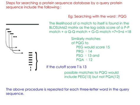 Sequence Alignment Tool And Definitionss PPT