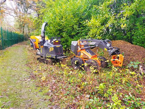 Worky Quad Light Work Of Tree Care Ascent Tree Solutions