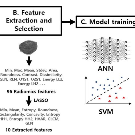 Diagram Of Overall Workflow Of Model Training And Validation Lasso Download Scientific Diagram