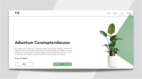 How To Create This Product Page With Elementor Custom Css Rotating