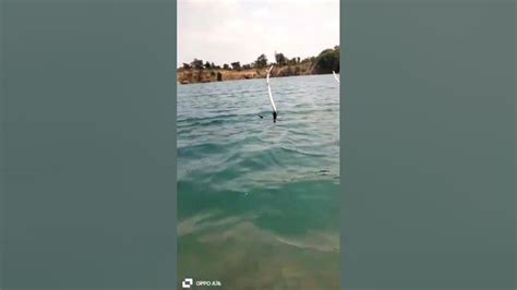 Udhani Youtubeshortsvideo Youtube