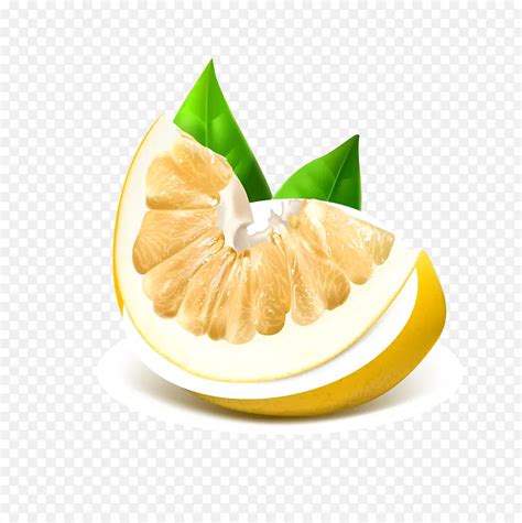 卡通柚子矢量图下载png图片素材下载图片编号qrmpakzn 免抠素材网