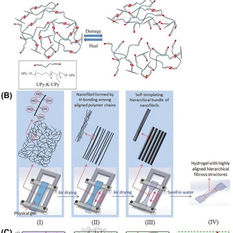 Fabrication Of Cellulose‐based Hydrogels Through Hydrogen Bonds And Download Scientific Diagram
