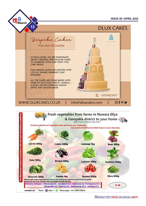 Cake Api Magazine