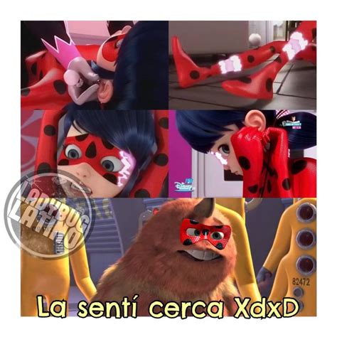 Memes De Miraculous Ladybug 24troublemaker Wattpad