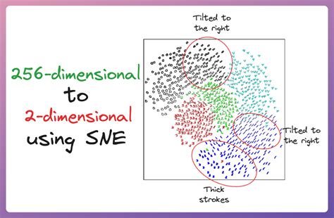 T Sne Vs Sne — Whats The Difference By Avi Chawla