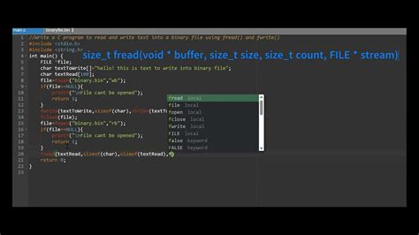 write a c program to read and write text into a binary file using fread and fwrite file