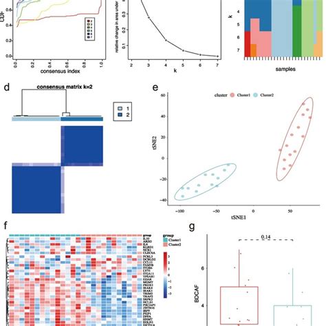 Consensus Clustering Of Bd Patients A The Consensus Clustering Cdf