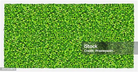 녹색 잔디밭 배경입니다 녹색 잔디밭 잔디의 질감입니다 녹색 잔디 완벽 한 질감입니다 벡터 일러스트 레이 션 0명에 대한 스톡 벡터 아트 및 기타 이미지 Istock