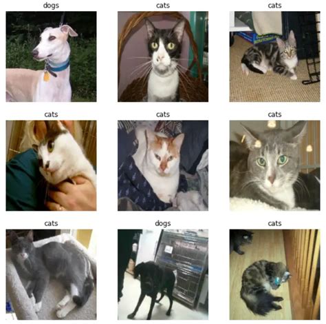 Transfer Learning For Image Classification With Tensorflow Python