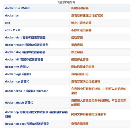 Docker 常用容器命令 阿东 博客园