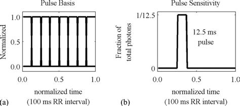 Typical Temporal Basis Functions And Sensitivity Function Download