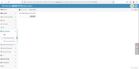 文件上传漏洞详解 Csdn博客