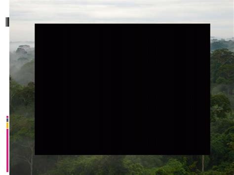 Forest Resources Ppt