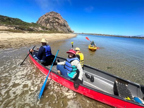 Morro Bay Whale Watching Sub Sea Tours And Kayaks