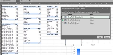 pivot tables not exist in report connection menu microsoft community hub