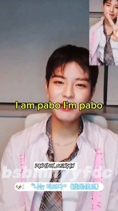 I Am Pabo I Am Pabo [the Stay Was Like Yes Ik] Seungmin Kpopgroup