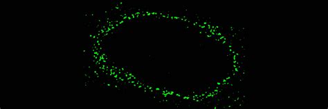Adarsh Dharan Faculty About Department Of Biology Indiana