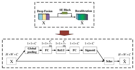 feature recalibration on deep fusion branch with se module squeeze a