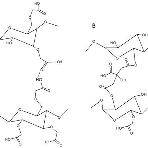 Scheme Of Cmscmc Crosslinking Reaction With Citric Acid Ca For The