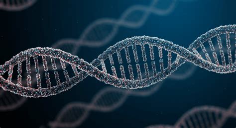 Hebrew University Decodes Genomic Data With Neural Networks