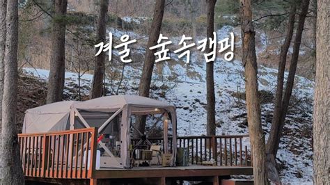 캠핑브이로그 L 겨울 숲속캠핑 한파에 눈 내린 숲속에서 강아지와 따뜻한 하룻밤 미니화로에 소갈비살 옥타곤반타 Youtube