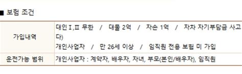 개인사업자 장기렌트 보험관련 질문 자동차 에펨코리아