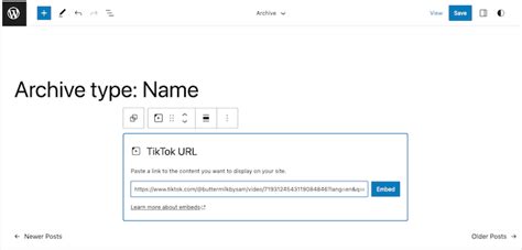 How To Embed Tiktok Videos In Wordpress 3 Easy Methods Syndicate