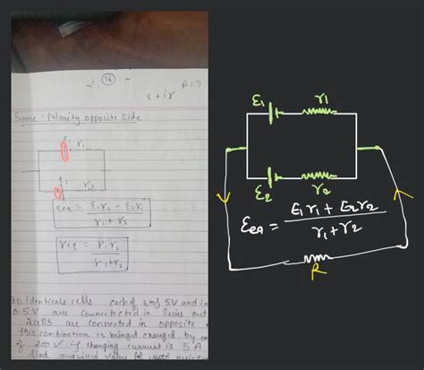 εiγasame Polarity Opposite Sideqo Identicals Cells Cach Of Em5 V A