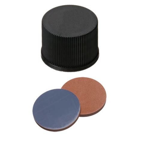 Bouchon A Vis Pp Noir Plein Dn15 Butyleptfe X100 Laborato