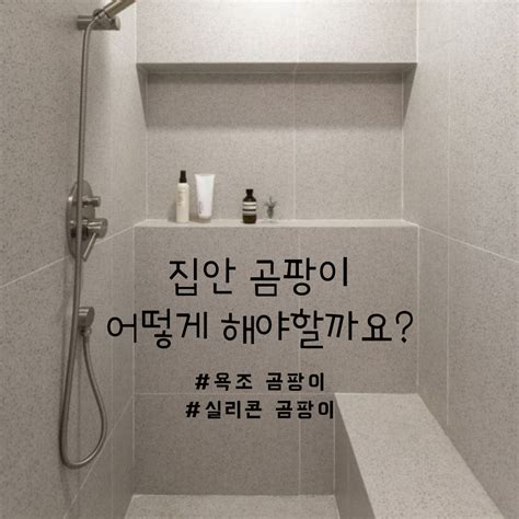 집 수리할 땐 수공 더러운 집안 곰팡이😭 욕실과 주방 곰팡이 어떻게 해야 할까요 전 후