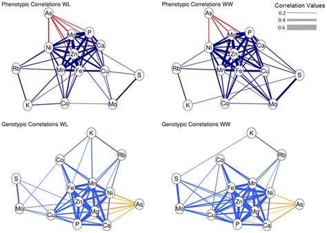 Network Correlation Graph Of Phenotypic R Pij And Genotypic R
