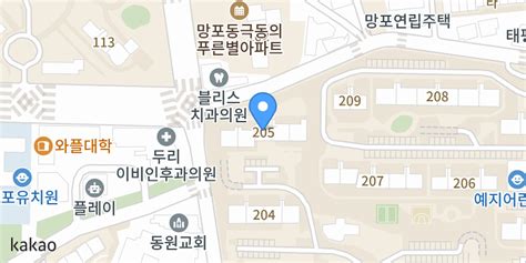 망포마을현대아이파크2차아파트 205동 카카오맵