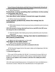 Understanding Gross And Net Primary Productivity A Virtual Lab Course Hero