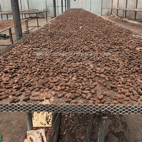 Roasted Cocoa Nibs Heritage On My Plate