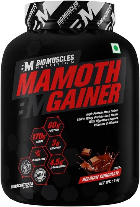 15 Best Gym Protein Powder