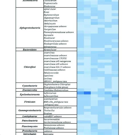 Heat Map Of The Microbial Communities At The Genus Level Of The