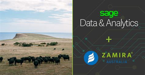 zap on linkedin sage data and analytics for sage x3 cloud solution zap